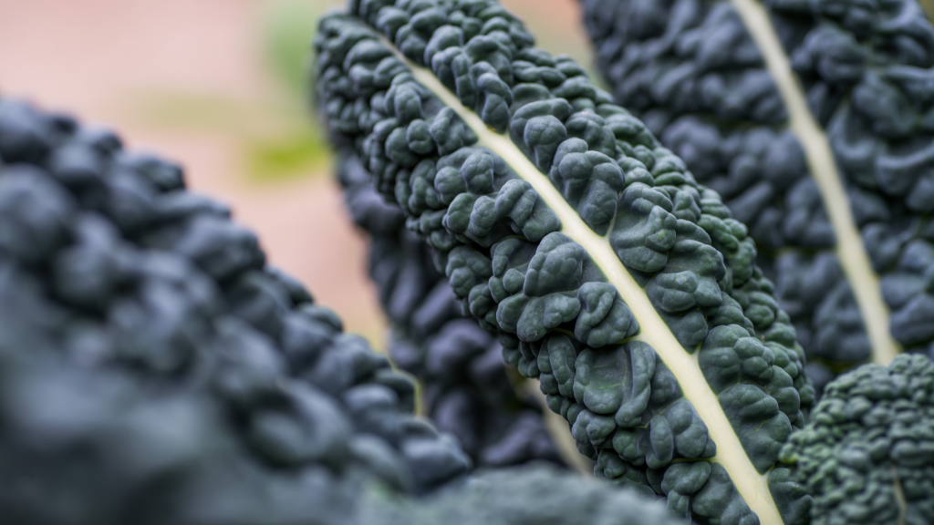 Cavolo nero, leeks and peas - Alice Yeates