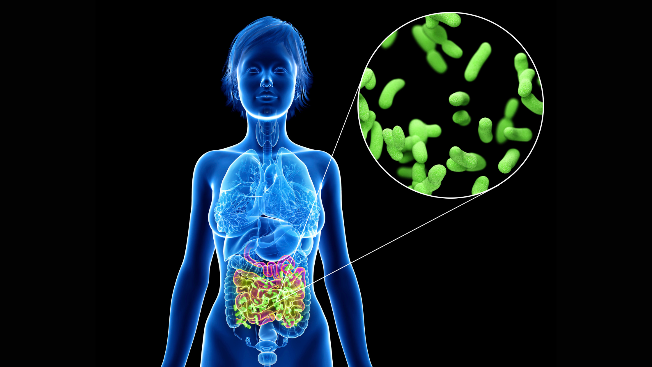 Why is our gut health so important? - Alice Yeates